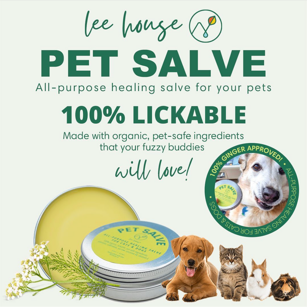 Pet Salve: Organic Healing Balm for Cats and Dogs – leehouse.co